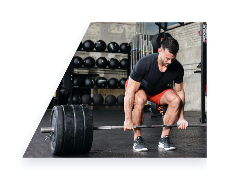 Online Personal Trainer and Online Fitness Coaches